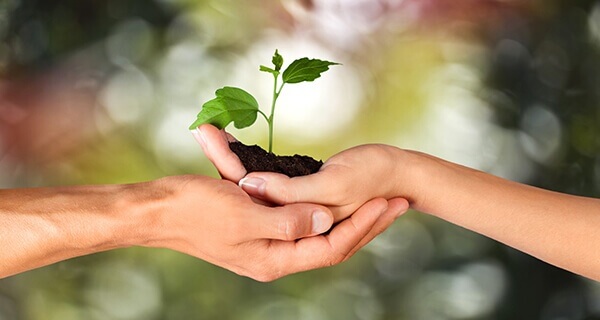 What Does it Mean to Be Green?